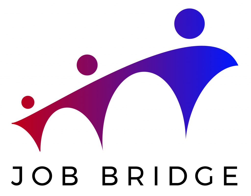 Job Bridge – Kick-off in Paris – REVEAL